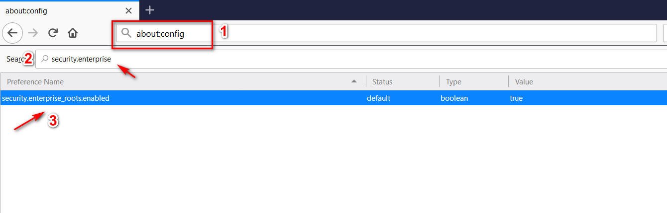 Guide to fix SEC_ERROR_UNKNOWN_ISSUER in Firefox Guide to fix SEC_ERROR_UNKNOWN_ISSUER in Firefox